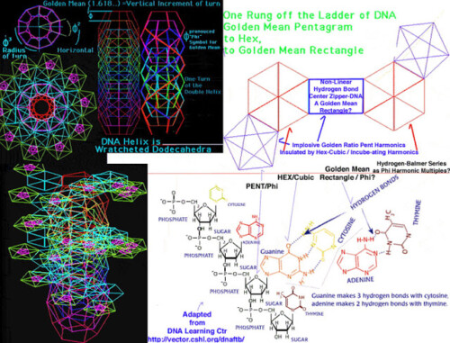 Fractal Frequency Modulation™ - Biologix Center for Optimum Health