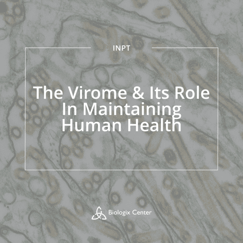 The Virome and Its Role in Maintaining Human Health - Biologix Center ...